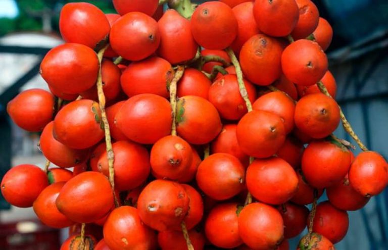 Frutas com P