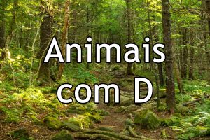 Animais com D