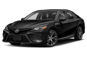 Carros com C – Museu Língua Portuguesa