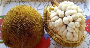 Comidas com M – Museu Língua Portuguesa