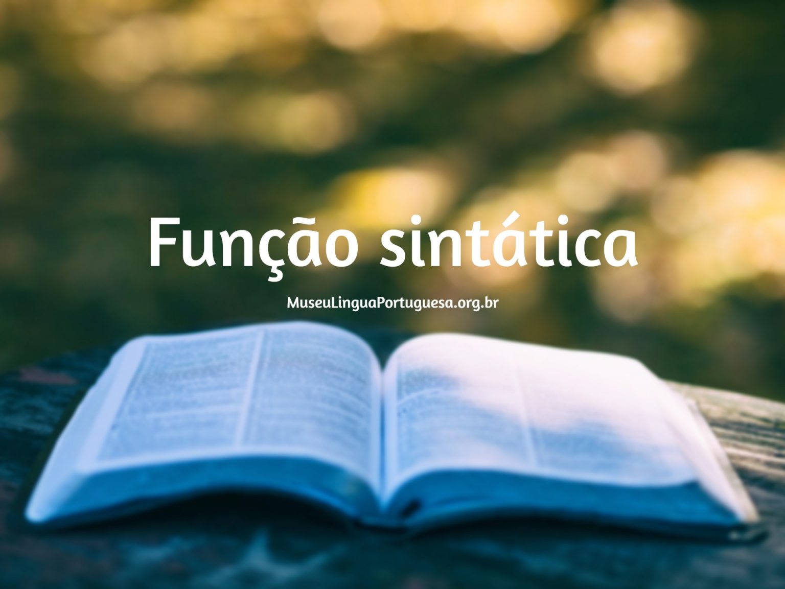 Função sintática