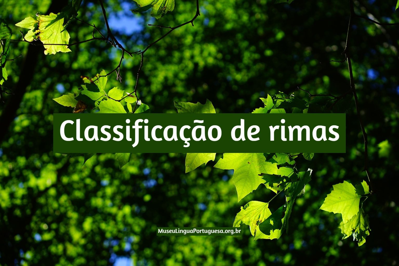 Classificação de rimas