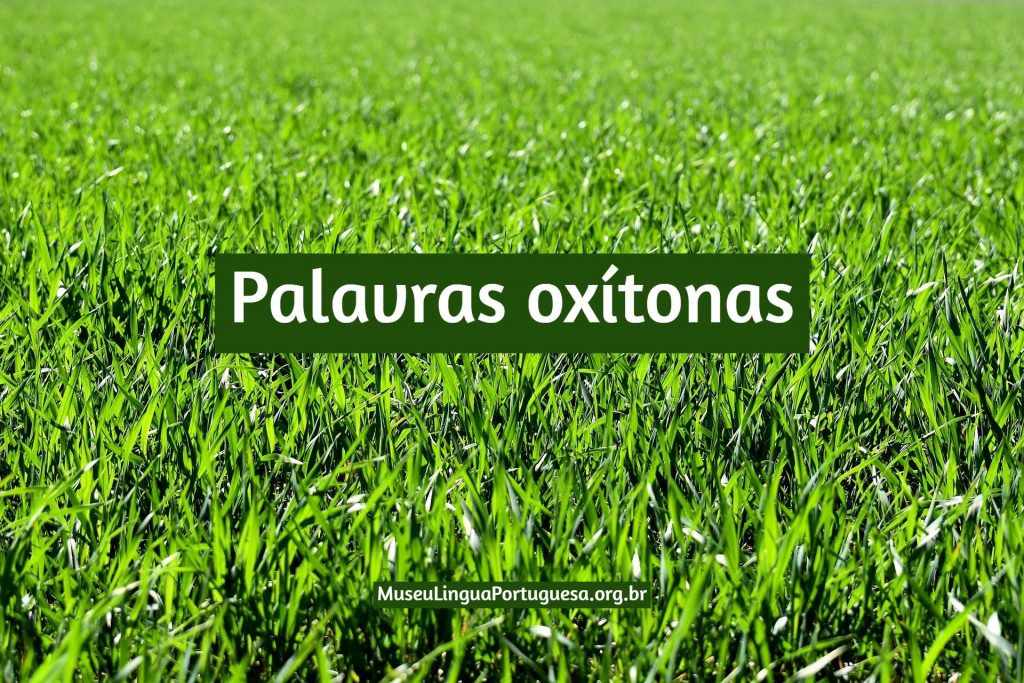 Palavras oxítonas – Museu Língua Portuguesa