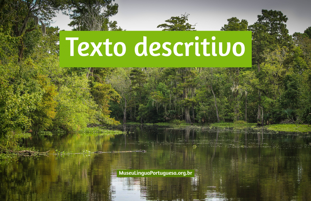 Texto descritivo – Museu Língua Portuguesa