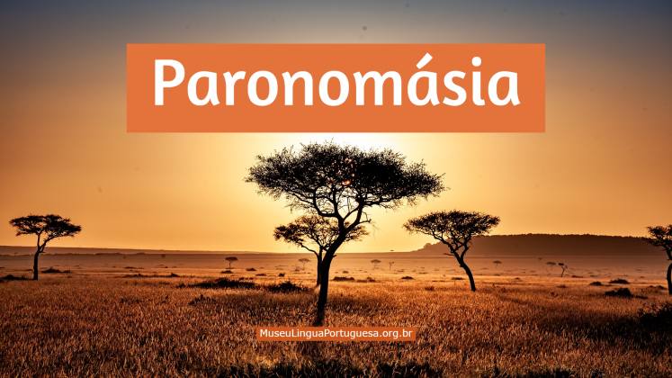 Paronomásia