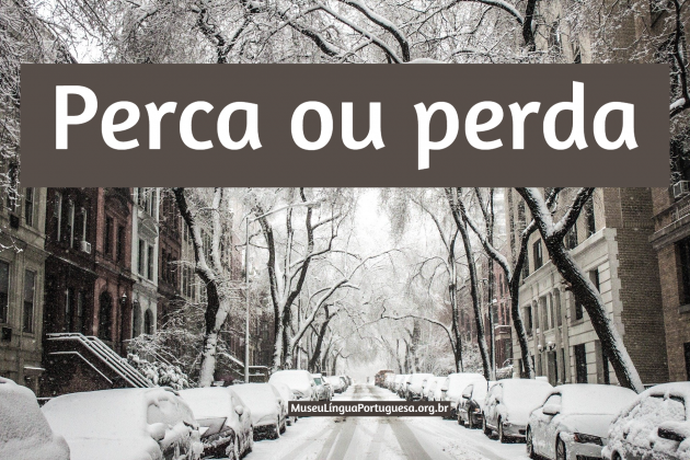Perca ou perda